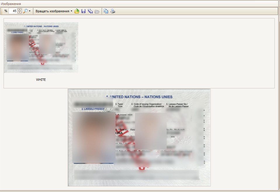 Depersonalization of document processing results – Regula Forensics ...